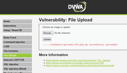 Using Web Shells for Profit - Packt SecPro