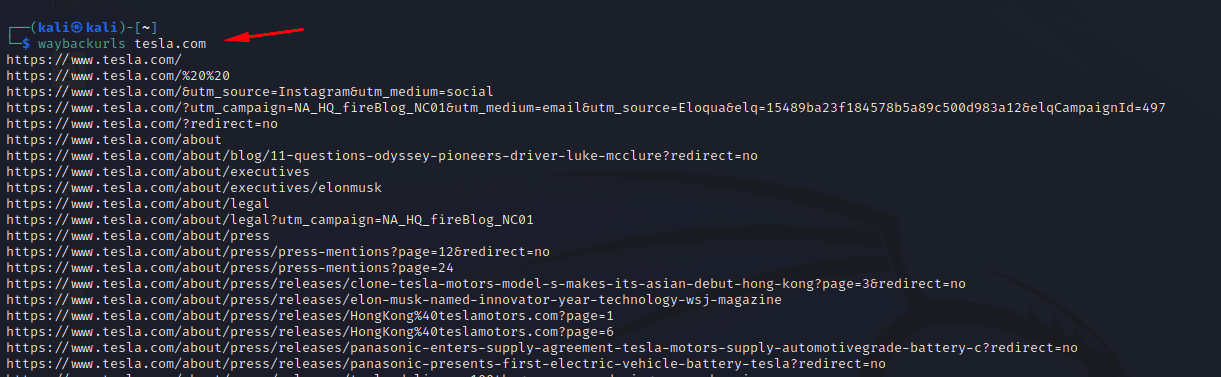 Using Waybackurls to find flaws - Packt SecPro