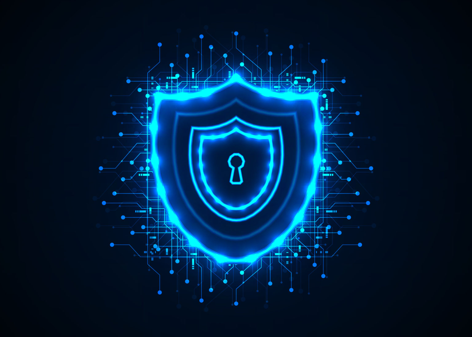 Fuzzing faster with FFUF - Packt - SecPro