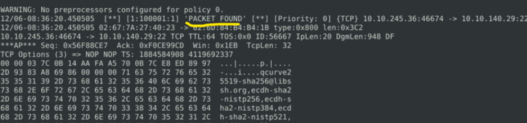 How To Prevent Network Attacks Using Snort Part Ii Packt Secpro